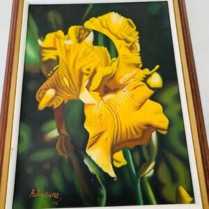 Vintage | Art | Vintage Signed A Nucum Realism Yellow Iris Oil On ...